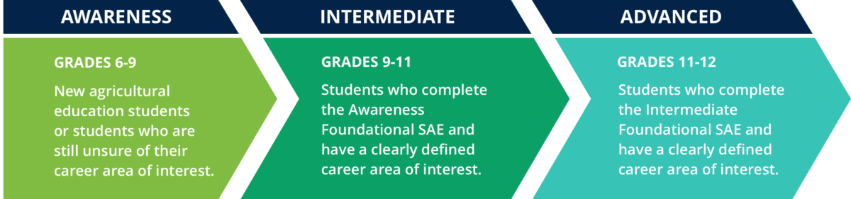 Foundational SAE - SAE For All