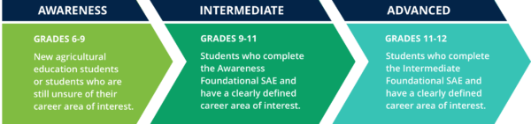 Foundational SAE - SAE For All