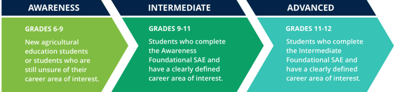 Foundational SAE - SAE For All