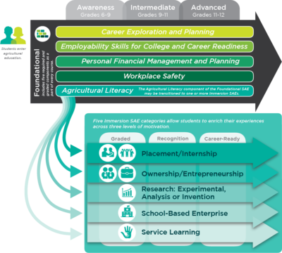 Immersion SAE - SAE For All