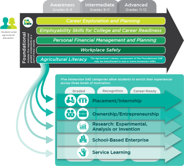 Immersion SAE - SAE For All